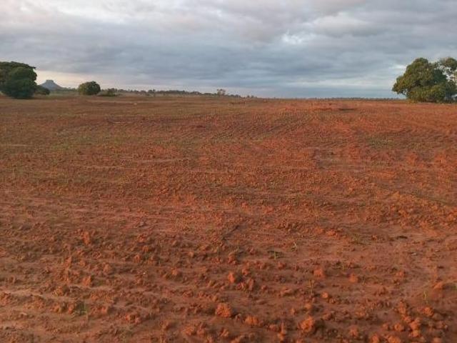 Fazenda