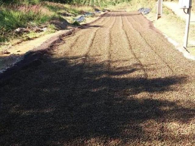 Fazenda