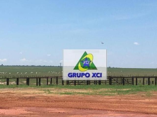 Fazenda