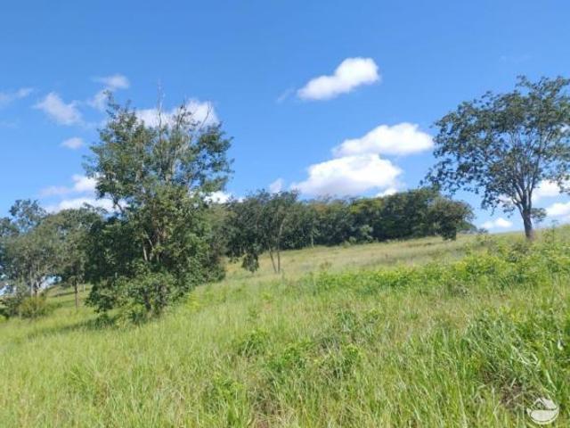 Fazenda para venda em Centro, Cassilândia