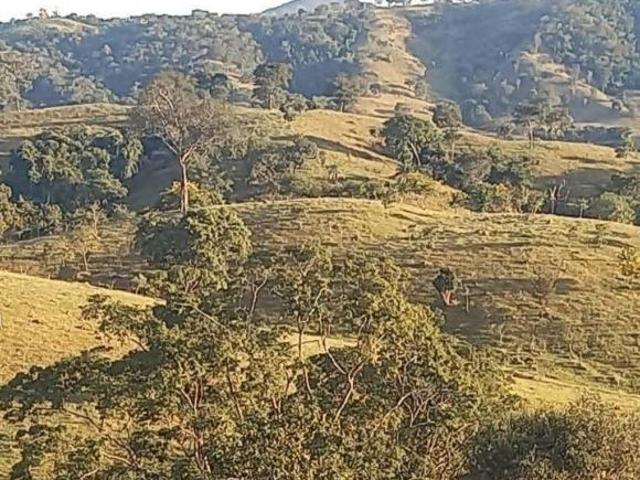 Fazenda