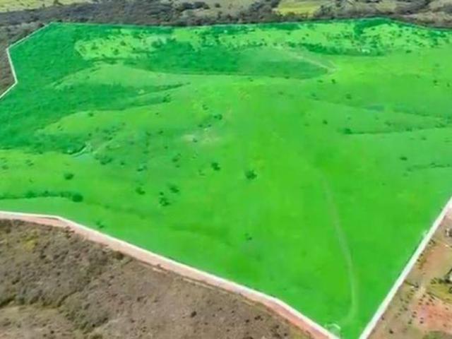 Fazenda 75 Hectares Escriturada!