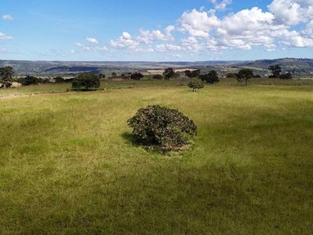 Fazenda 75 hectares porteira fechada