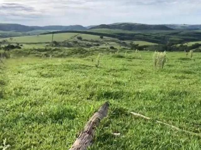 Fazenda
