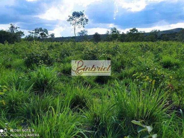 Fazenda