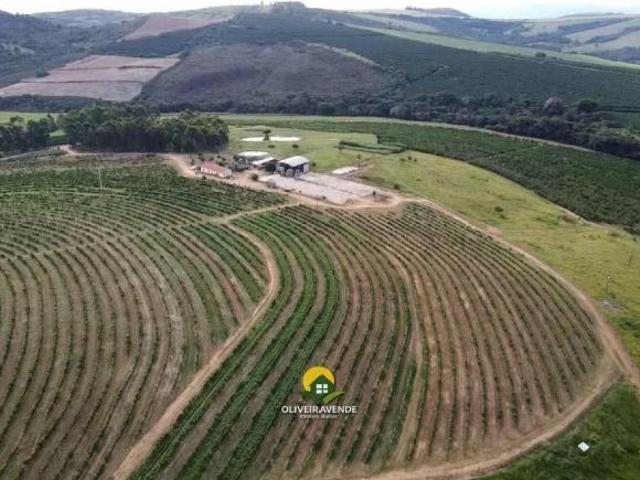Fazenda