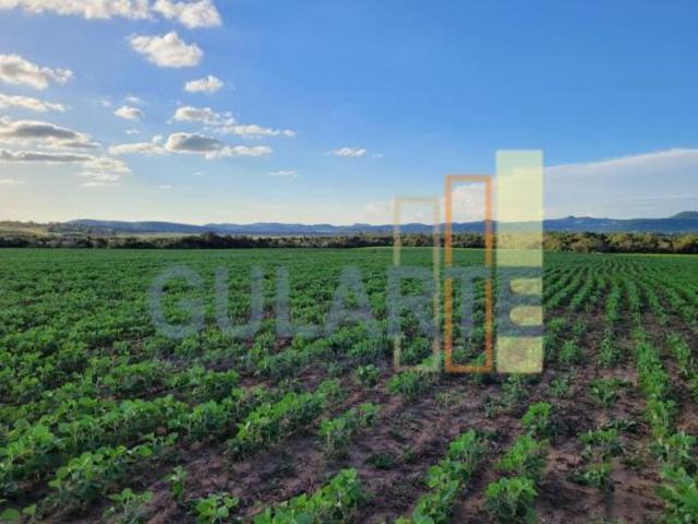 Fazenda