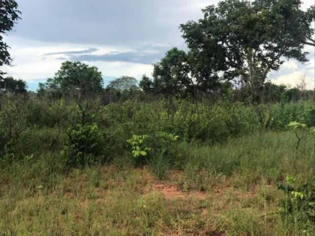 Fazenda 772 hectares localizada em Várzea da Palma/MG