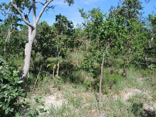 Fazenda