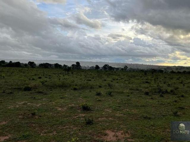 FAZENDA 77 HECTARES PECUARIA EM AMAMBAI MS.
