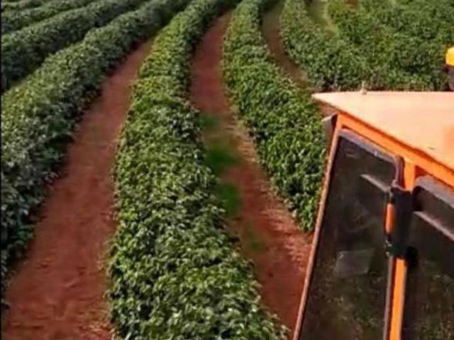 Fazenda