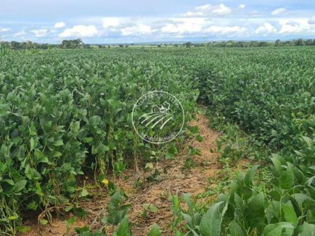 Fazenda