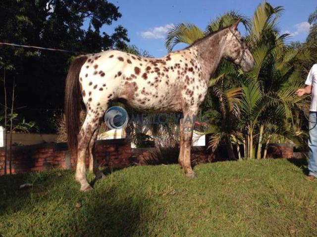 Fazenda