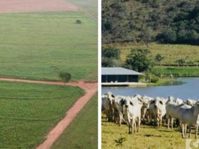 Fazenda
