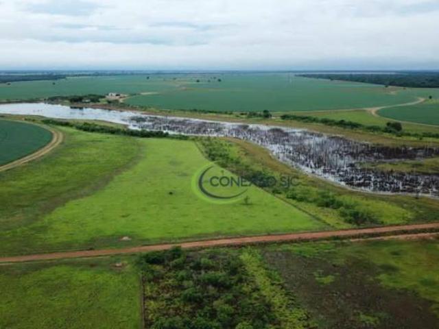 Fazenda