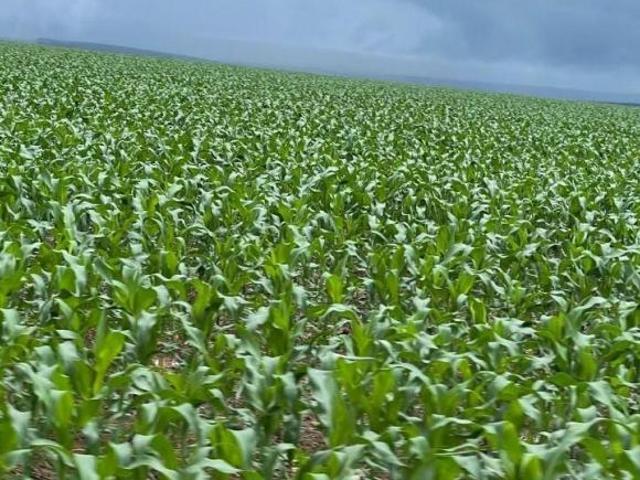Fazenda