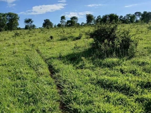 Fazenda