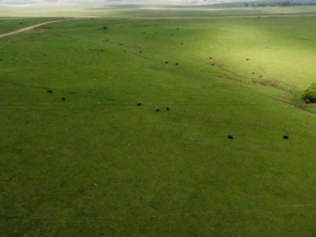 Fazenda