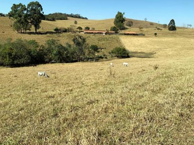 Fazenda para venda em Centro, Carmo de Minas