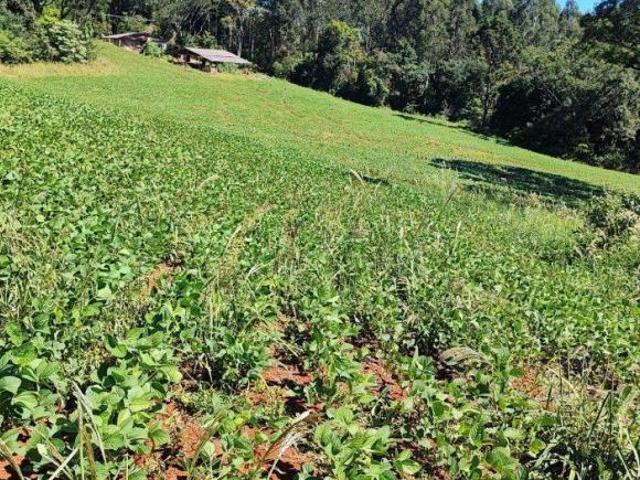 Fazenda