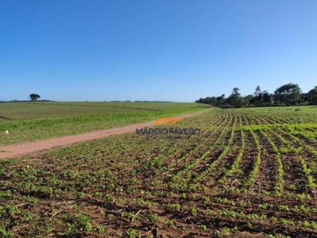 Fazenda