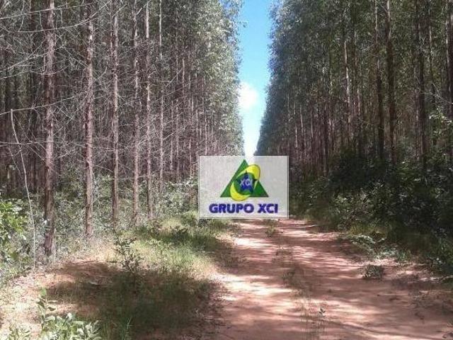 Fazenda
