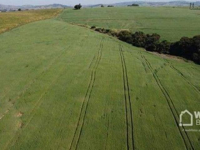 Fazenda