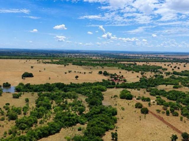 Fazenda