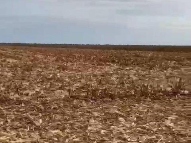 Fazenda
