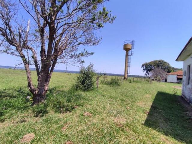 Fazenda