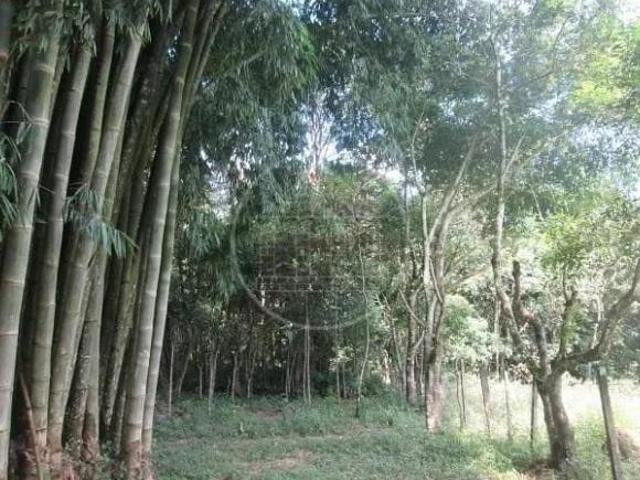 Fazenda