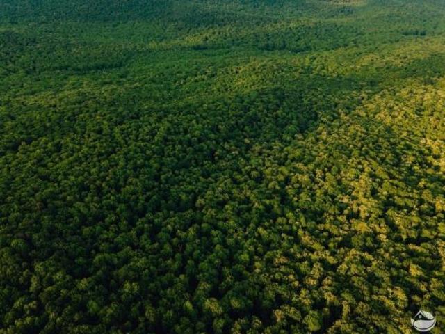 Fazenda