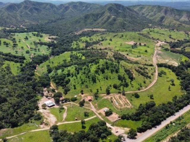 Fazenda