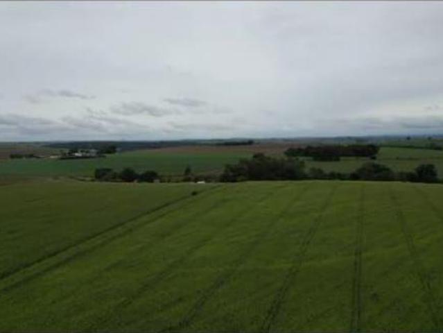 Fazenda