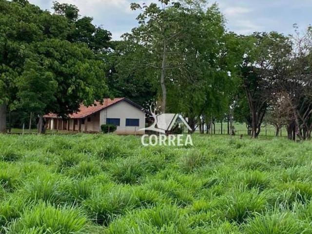 Fazenda