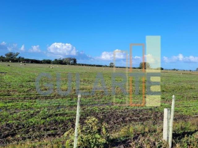 Fazenda
