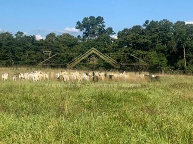 Fazenda