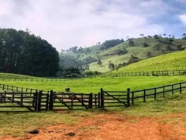 Fazenda
