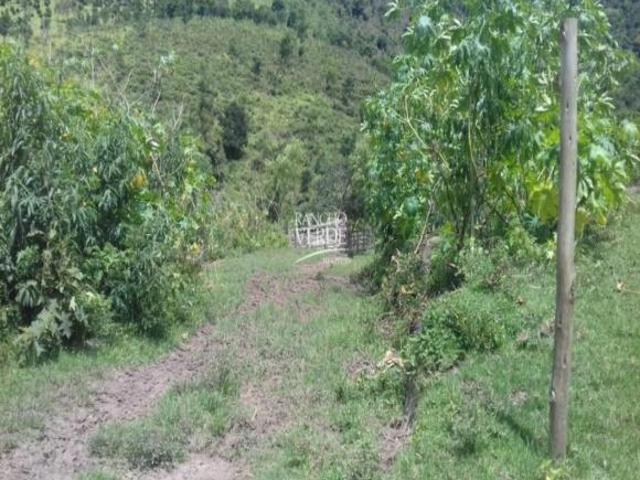 Fazenda