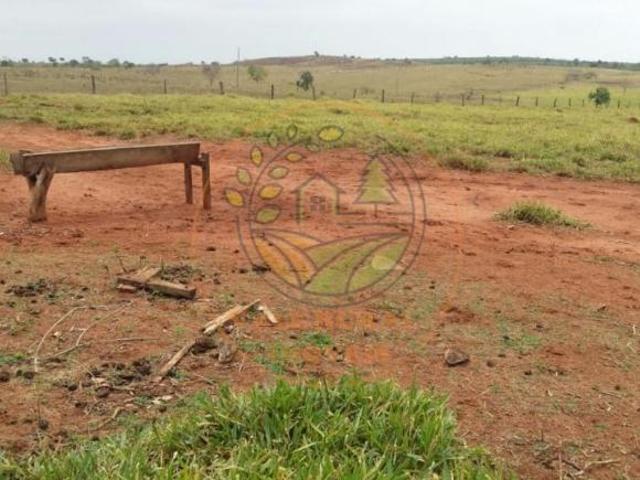 Fazenda