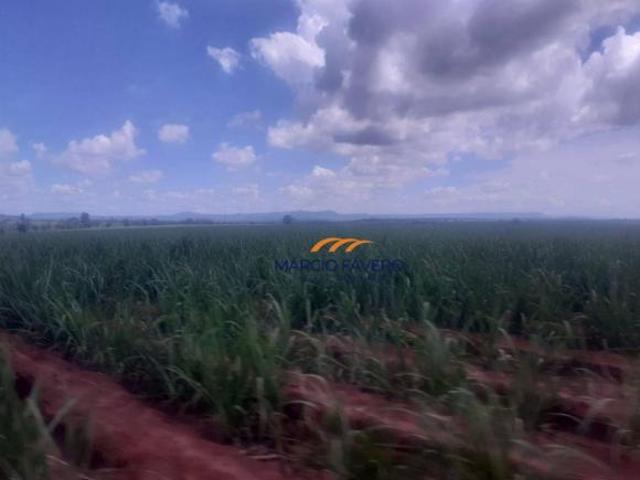 Fazenda