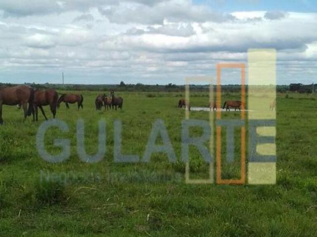 Fazenda