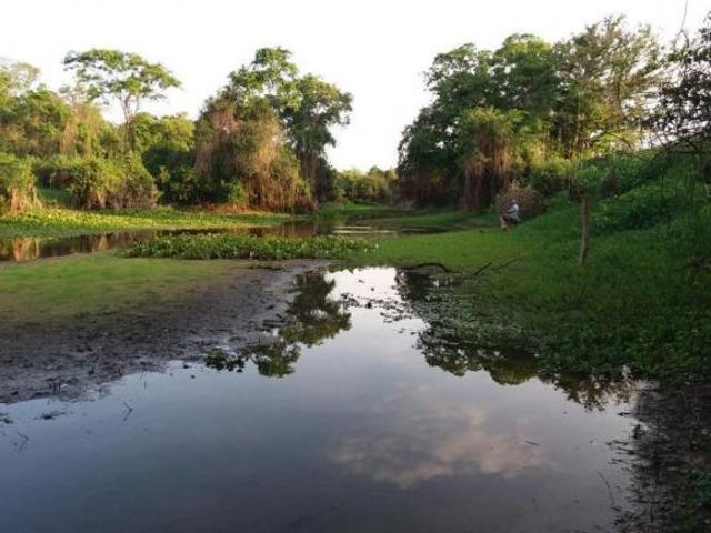 Fazenda
