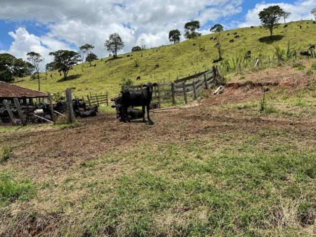 Fazenda