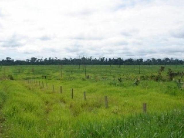 Fazenda
