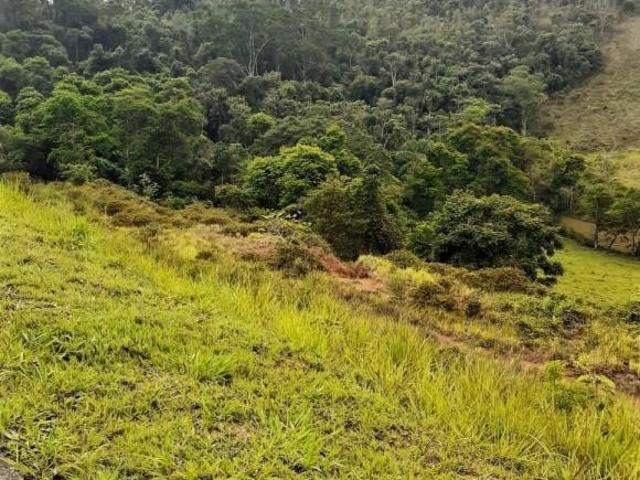 Fazenda