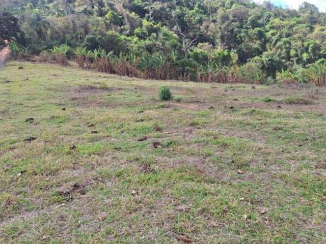 Fazenda