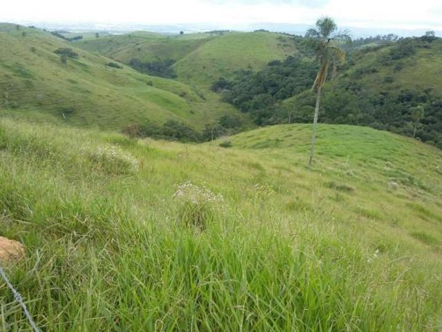 Fazenda 72 Hectares Com Pasto Formado Em Taubaté/SP