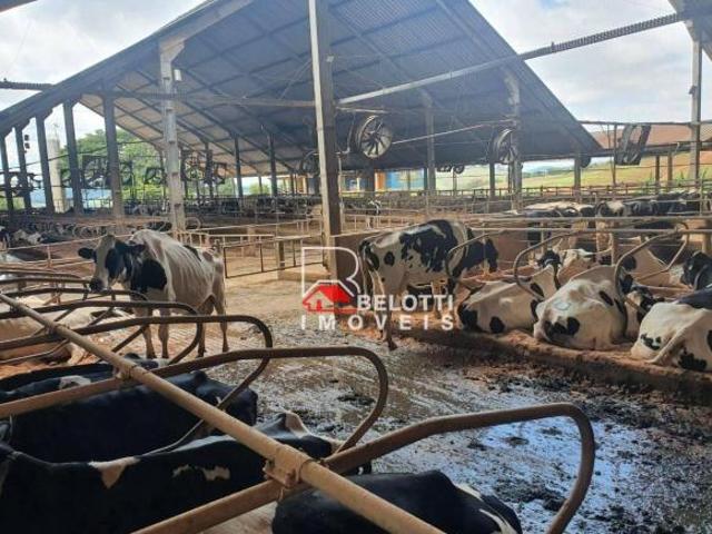Fazenda