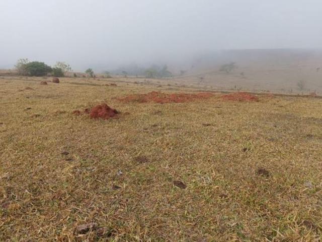 Fazenda